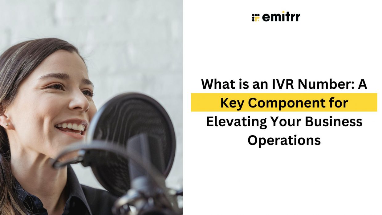 What is an IVR Number?