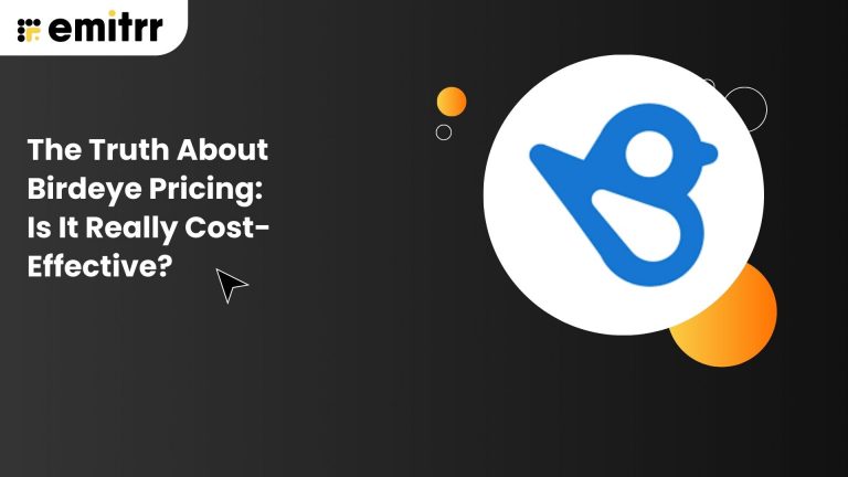 The Truth about Birdeye Pricing: Is It Really Cost-Effective?